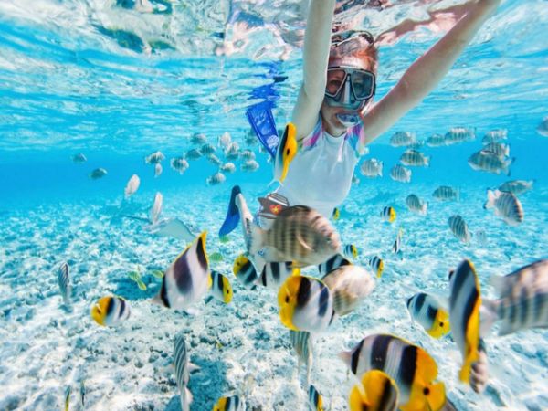 Nha Trang Private Snorkeling Tour At Hon Mun Island